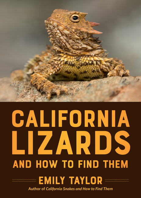 California Lizards and How to Find Them – Allstora